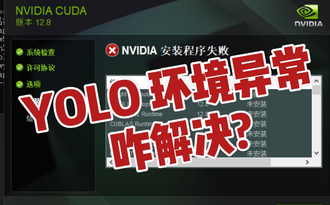 YOLO环境异常处理