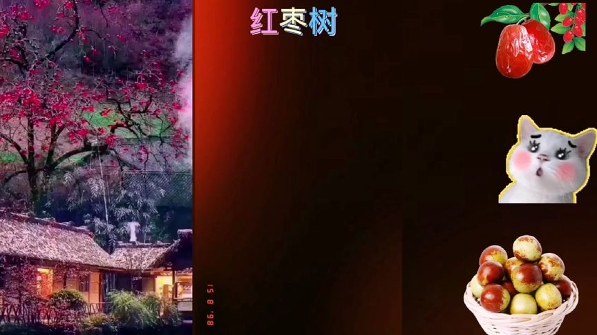 如何给视频添加字幕,三秒教你学会制作