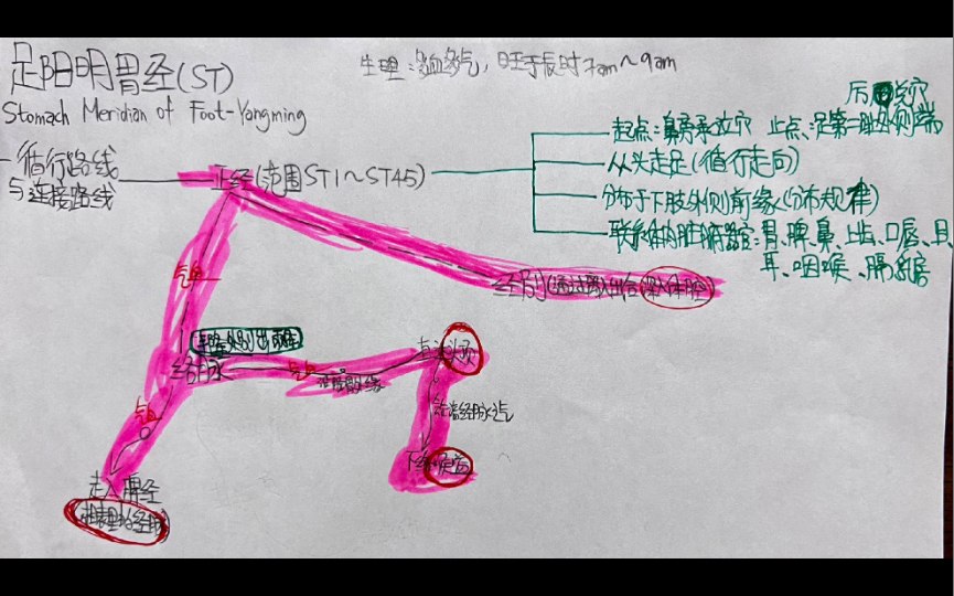 针灸学·按照气血在12经的流注顺序来讲12经(三下·重点穴的主治...
