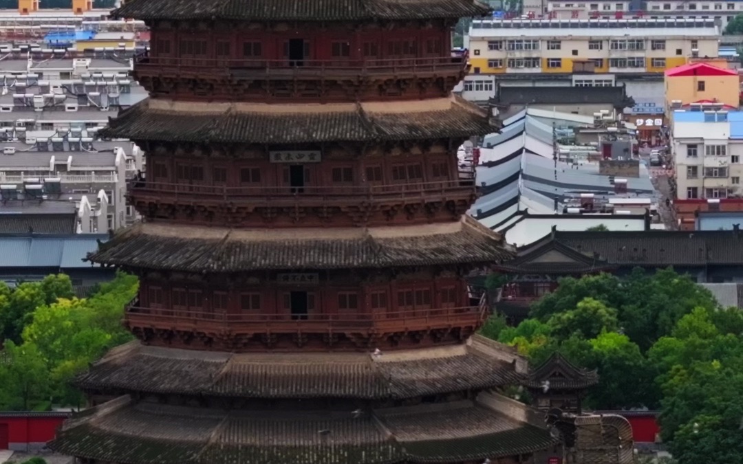 应县木塔的鸽子一定是正式工吧