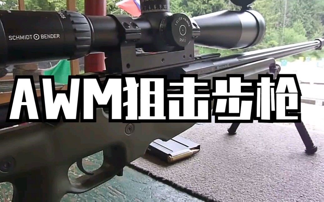 【步枪射击】AWM狙击步枪,真人射击,这后坐力!
