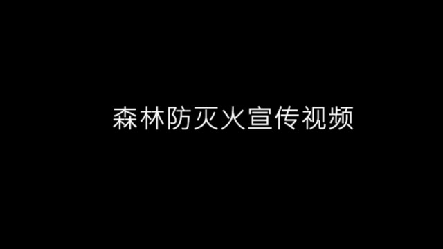 2020森林防灭火宣传视频