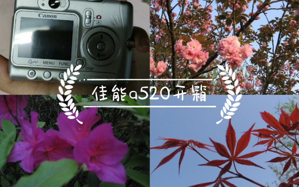 【开箱】ccd相机|淘宝买的二手佳能a520|视频最后有无滤镜照片哦