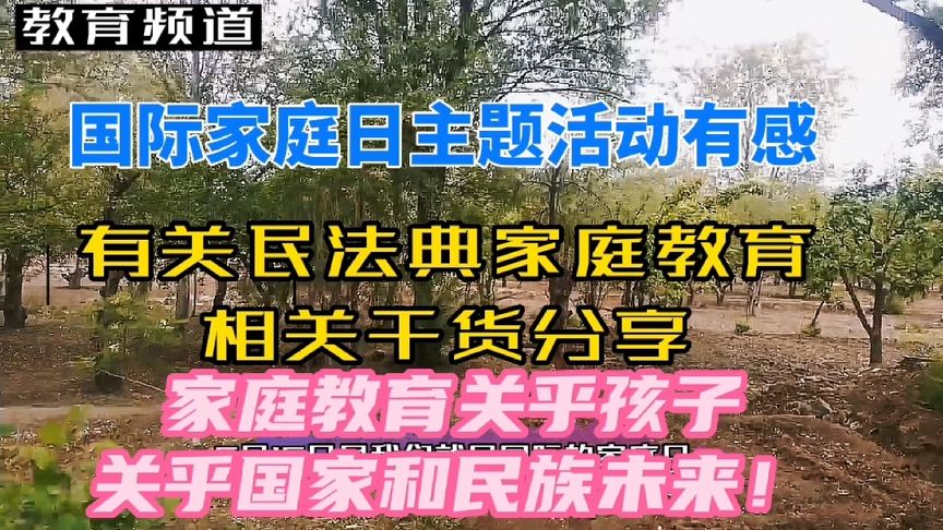 国际家庭日主题活动有感,有关民法典家庭教育相关干货分享