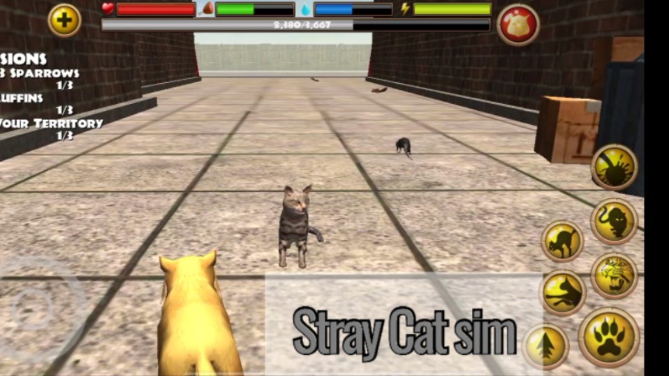 【流浪猫模拟器】Gameplay #1_游戏实况