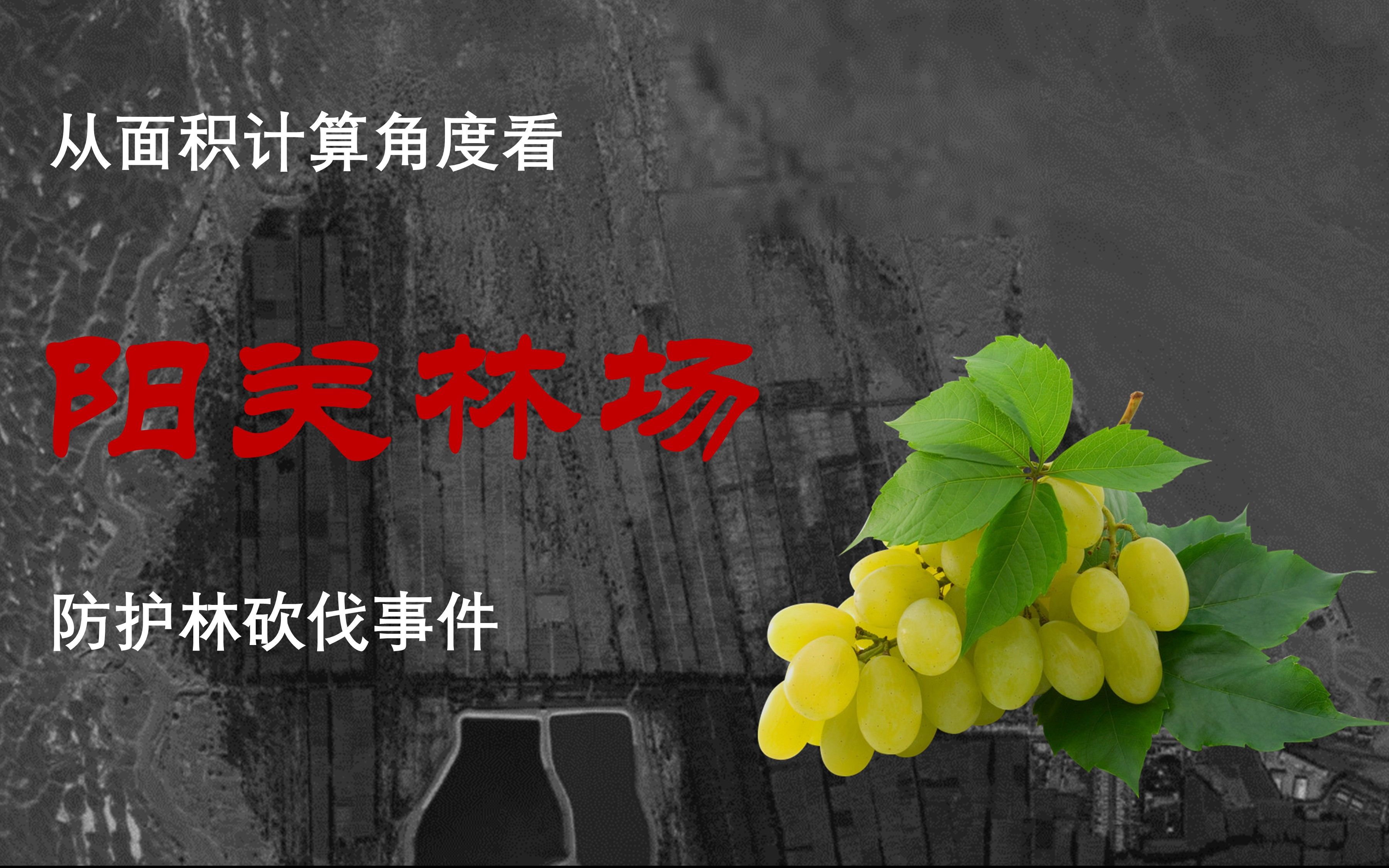 到底多少亩?从面积计算角度分析阳关林场问题