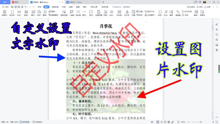 wps如何自定义设置水印,怎样将图片设置为wps文档水印?