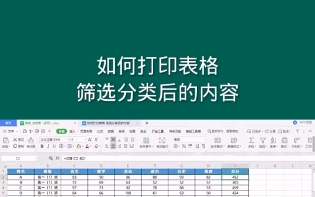 如何打印表格筛选分类后的内容, Office Excel电子表格