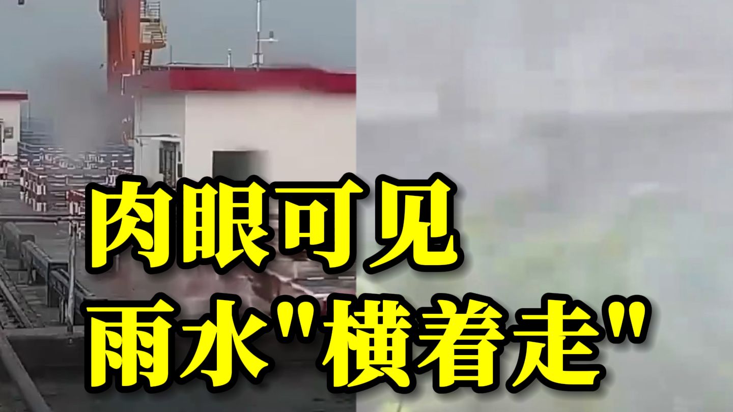 手机拍摄台风“摩羯”登陆画面:椰子树被吹变形,大雨“横着走”