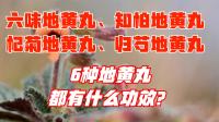 ...集 六味地黄丸、知柏地黄丸、杞菊地黄丸,6种地黄丸都有什么功效?