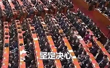 来了!全国人大表决通过完善香港选举制度的决定