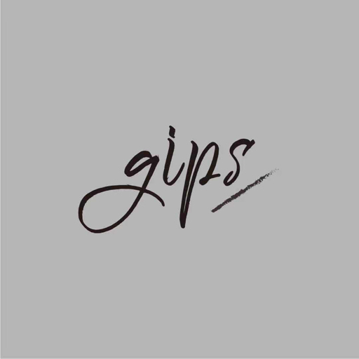 gips图书馆 
