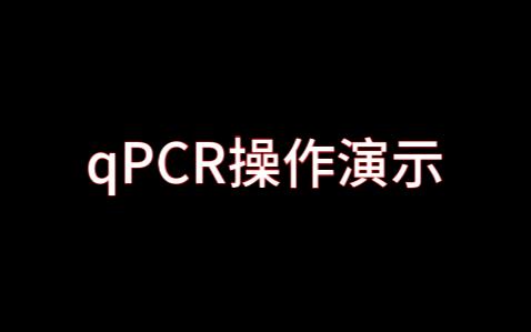 qPCR操作演示