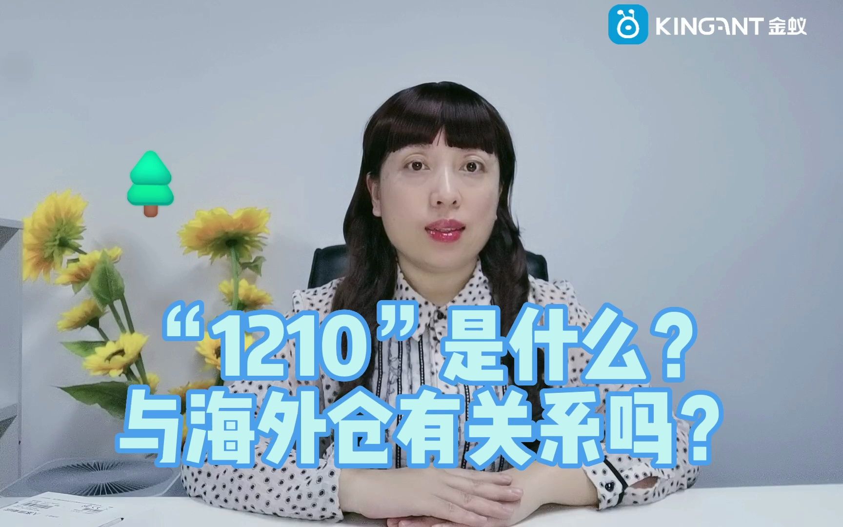 “1210”是什么?与海外仓有关系吗?- 金蚁介绍