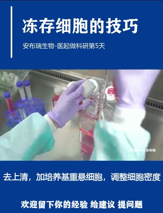冻存细胞的技巧