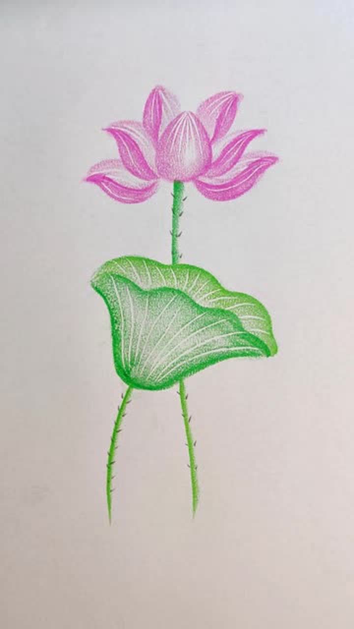 用油画棒一分钟画荷花,简单易学,赶紧试试吧