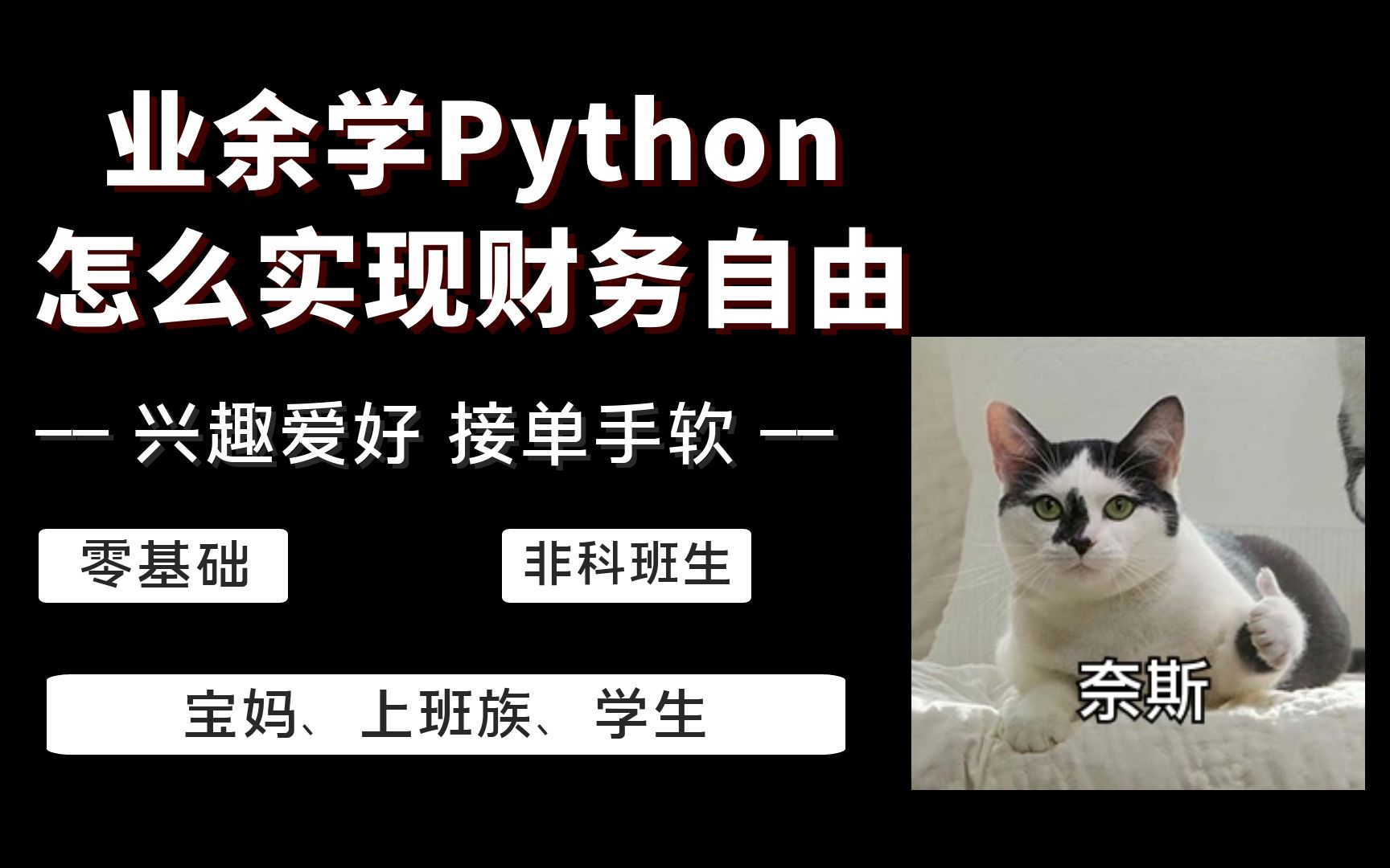 业余学Python怎么实现财务自由