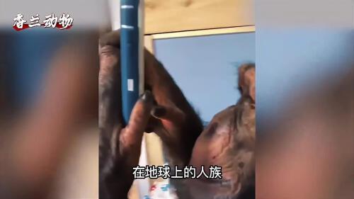 地球上的“人族”不止人类?另一个人族的超能力是什么呢?