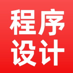 计算机程序开发 