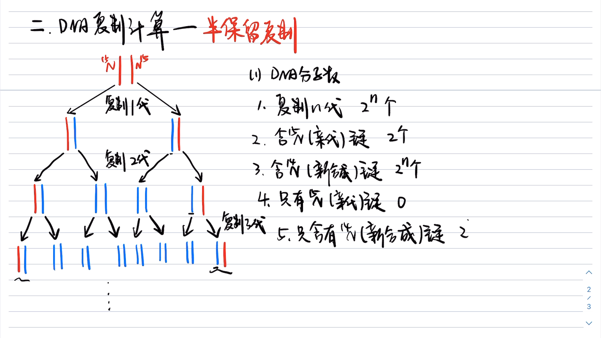 【高中生物】DNA复制计算:有图有真相