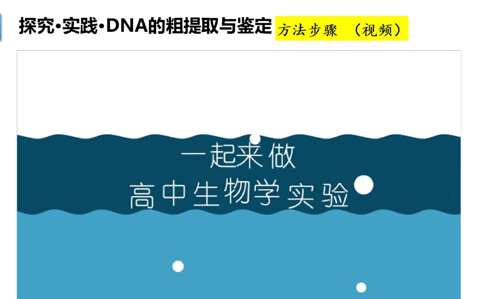 DNA的粗提取与鉴定实验