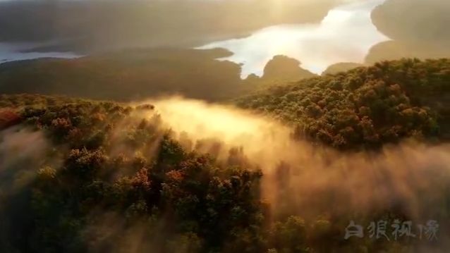 展示云南生物多样性,我们团队是认真的。