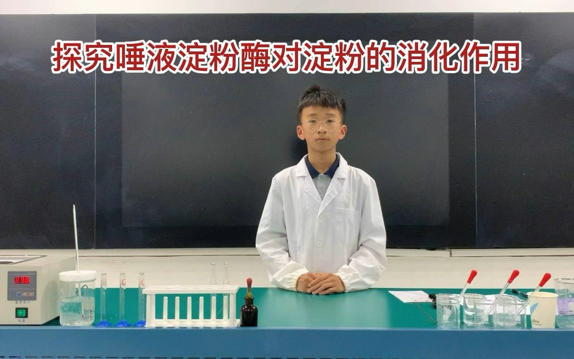 探究唾液淀粉酶对淀粉的消化作用