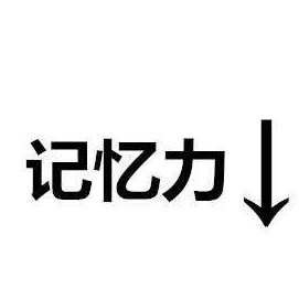 记忆大师训练营 