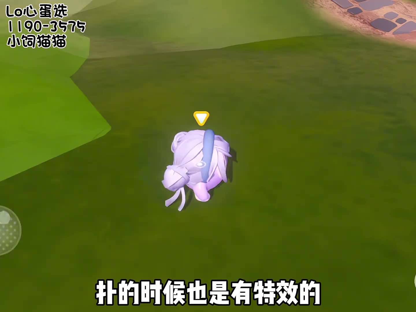 可以体验滚动特效的地图