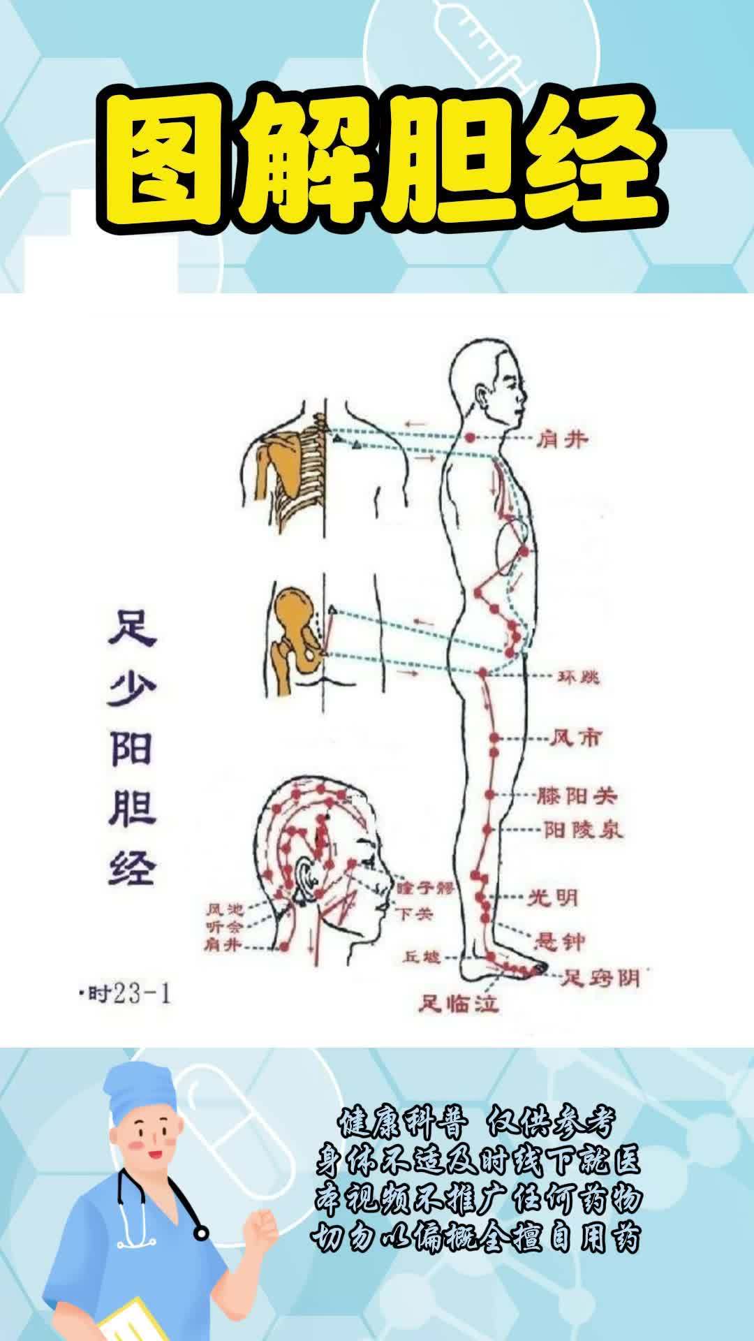 图解胆经:穴位位置一目了然,健康生活从此开始!