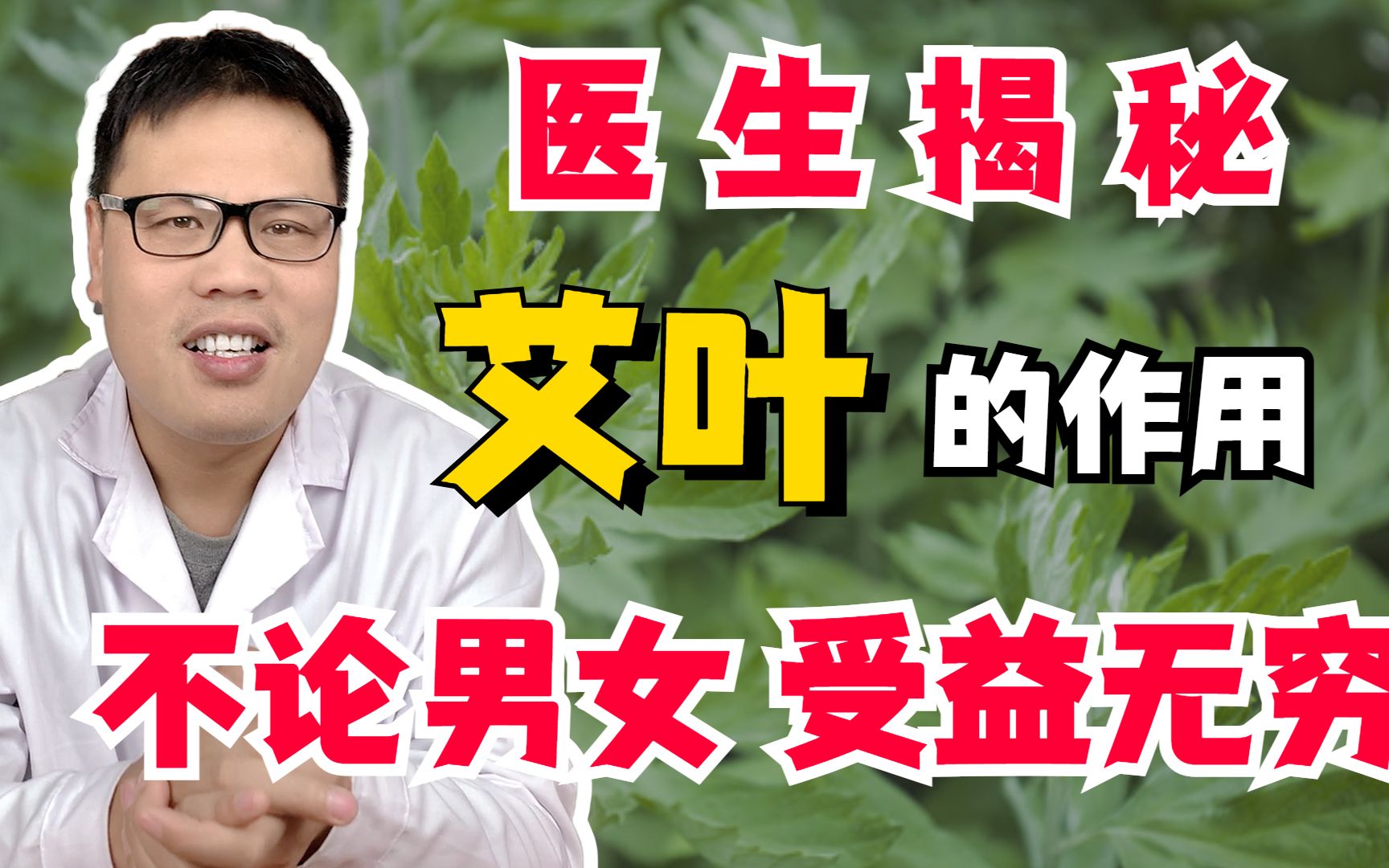 艾叶用得好,疾病不来找!医生揭秘真正作用,不论男女,受益无穷