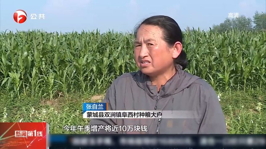 蒙城:高标准农田建设基本实现旱涝保收