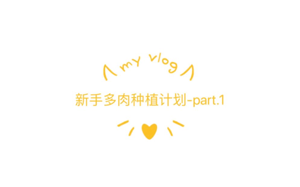 新手多肉种植计划-part.1