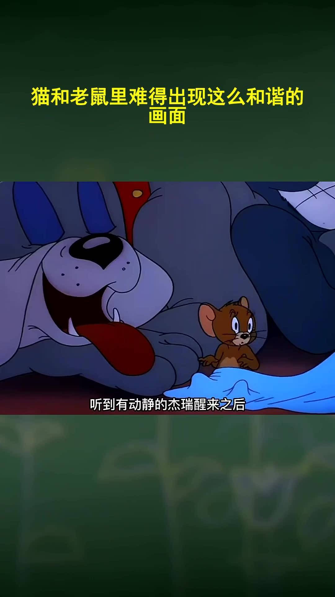 猫和老鼠里难得出现这么和谐的画面!