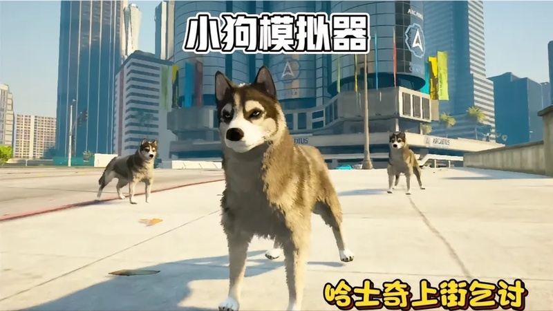 小狗模拟器: 哈士奇兄弟上街乞讨,看到小姐姐就可劲追