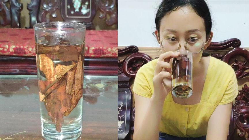 农村姑娘用树皮泡水喝?其提取物价值千万元一斤,植物黄金红豆杉