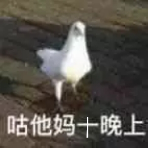 骨灰扬诺夫斯克上将 