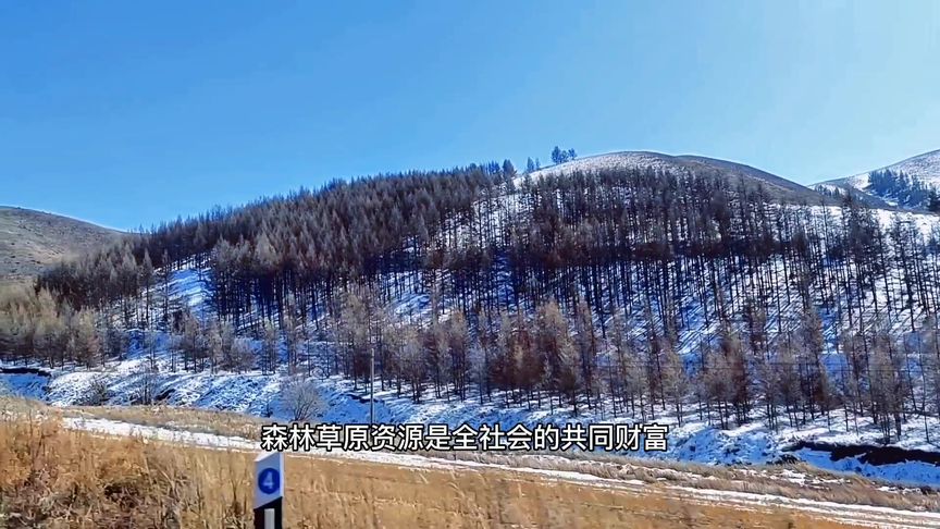 预防森林草原火灾,保护森林草原资源是每个公民的义务。