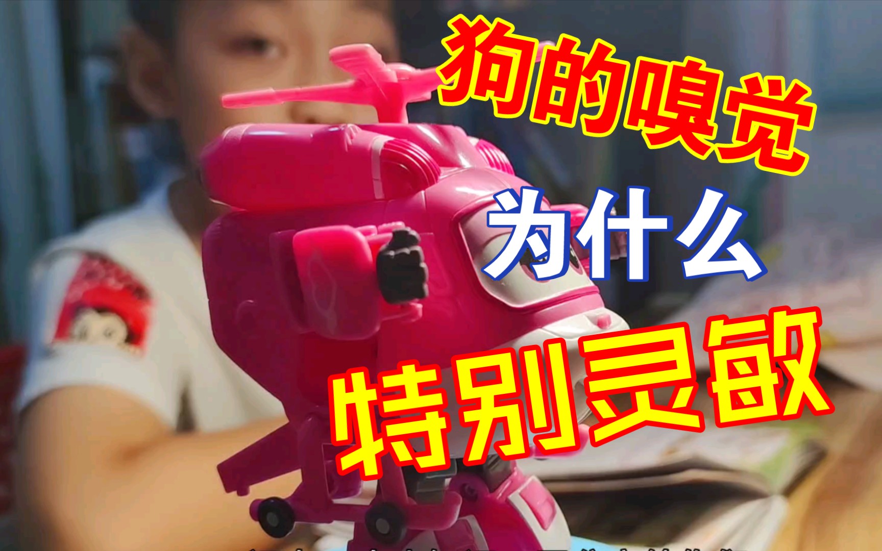 【雷说知识】狗的嗅觉为什么特别灵敏