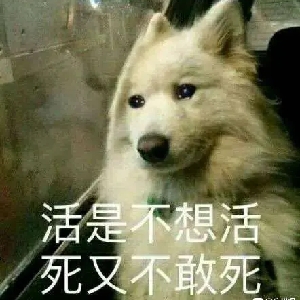 摸鱼小组 
