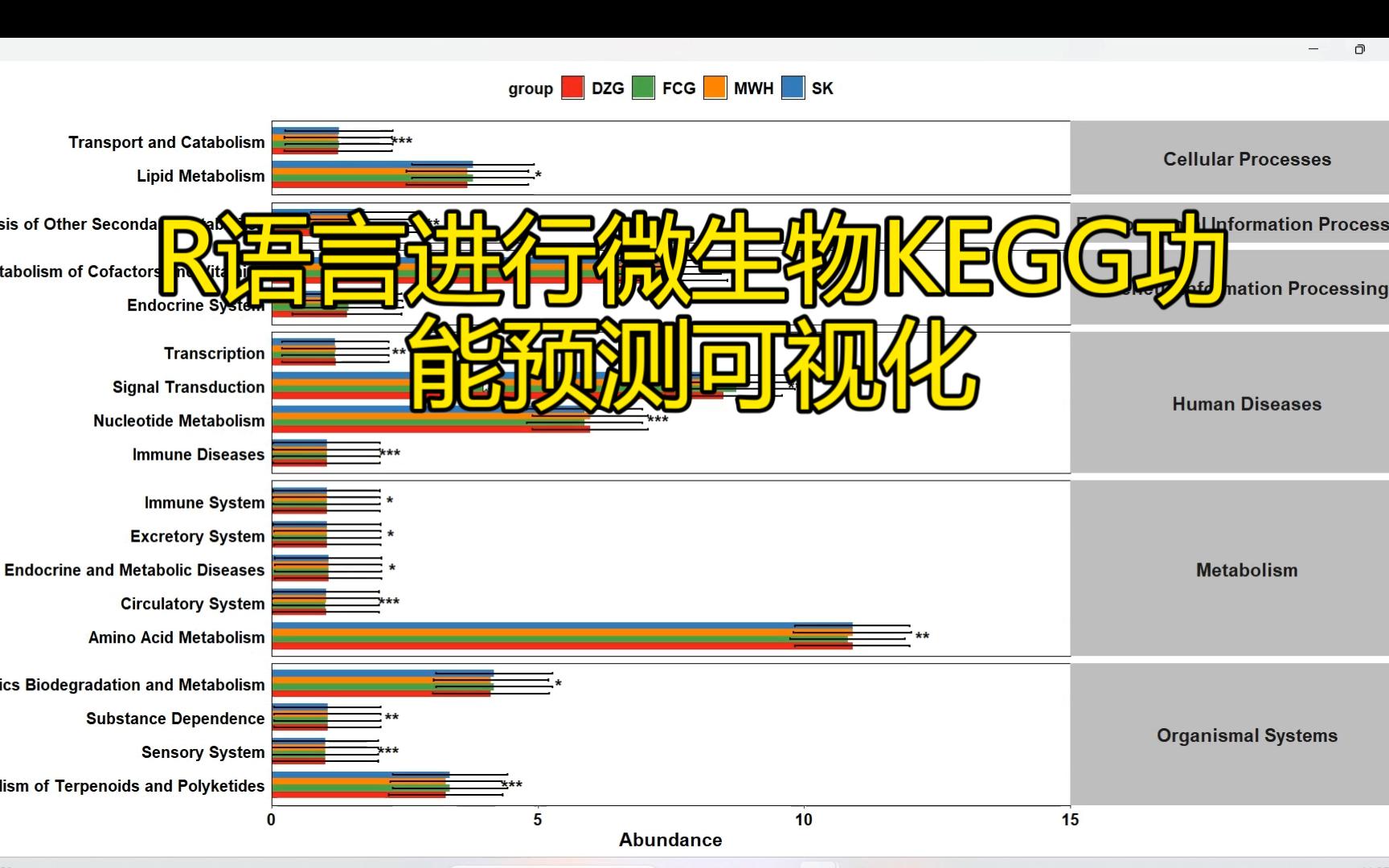 R语言进行16S功能预测KEGG二级通路差异分析可视化