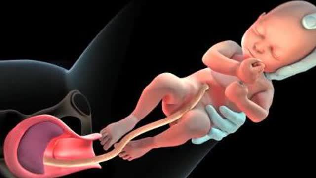 生孩子到底多痛?3D模拟全过程,看完感叹女性.