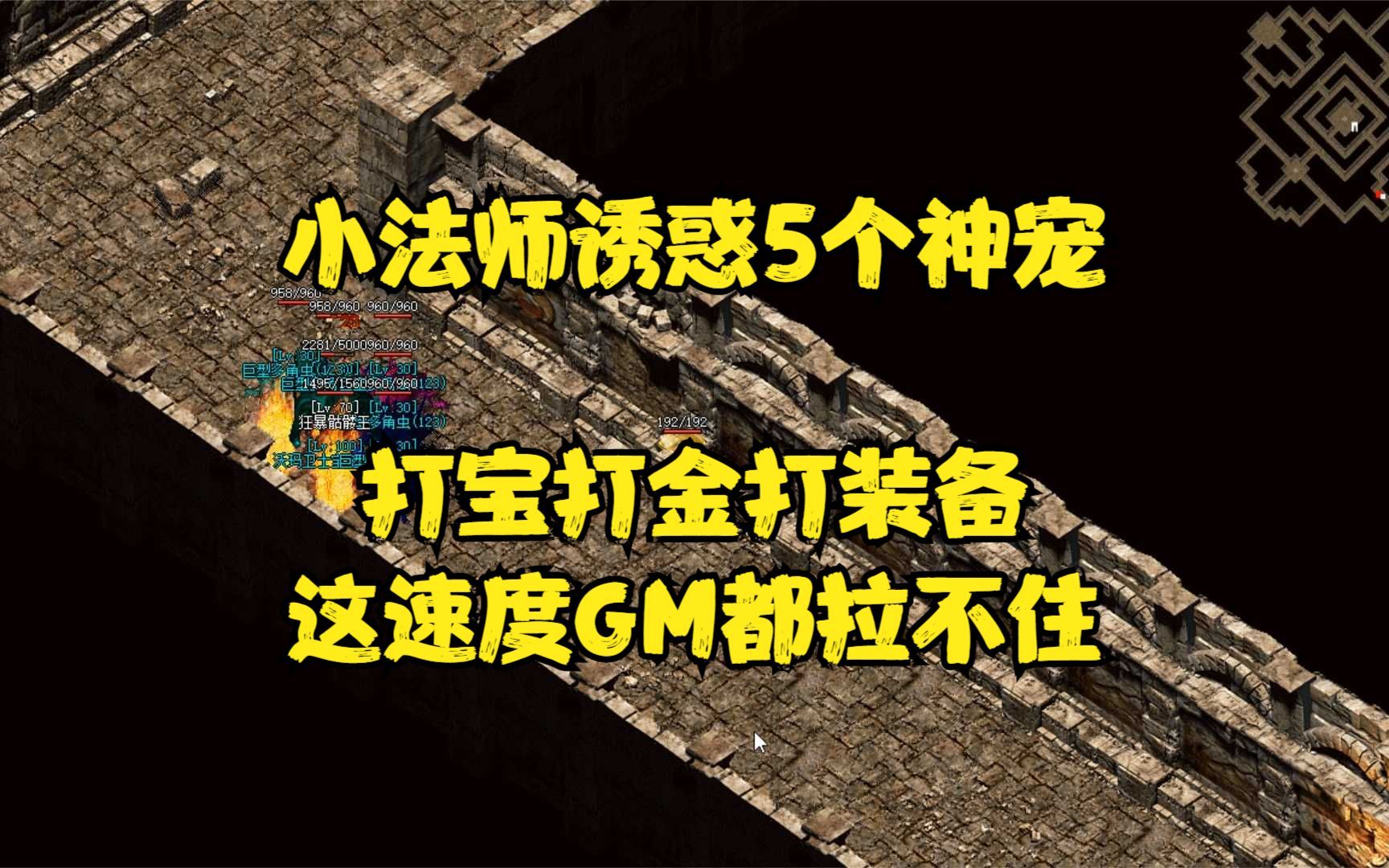 热血传奇:小法师诱惑5个神宠,打宝打金打装备,这速度GM都拉不住