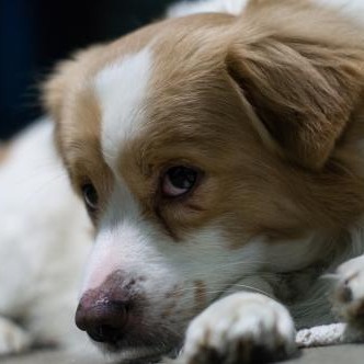 凡事不要太枯燥