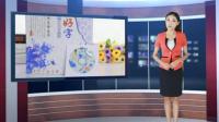 庞中华硬笔书法字帖 数字练字 练字先练毛笔还是钢笔