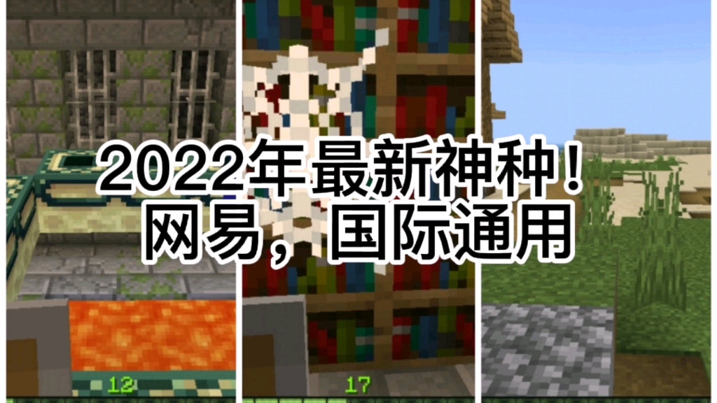 2022年基岩版最新神种!(网易版、国际版通用)种子在视频结尾_我的...
