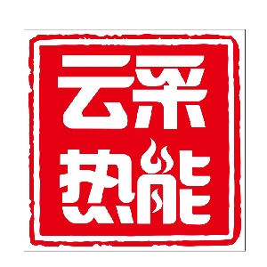 拥有智慧的电锅炉厂家 