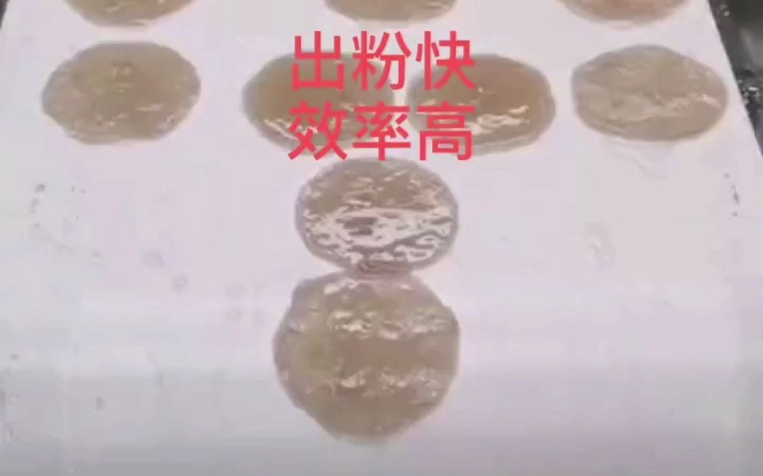 数控小圆粉皮机 土豆粉皮加工设备 多功能木薯粉皮机器一机多用