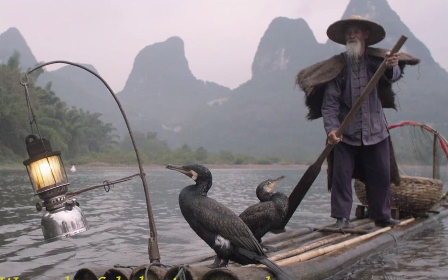 桂林漓江上最后的鸬鹚捕鱼人,即将消失的传统生活之美
