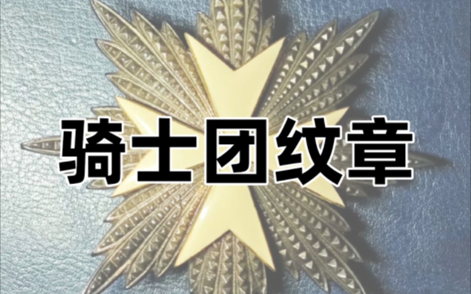 ...团的小纹章(非全部,部分找不到准确纹章的用勋章代替)无介绍,纯欣赏